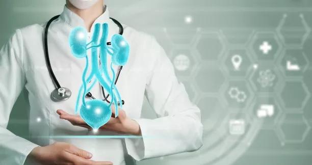 国际期刊推荐:BMC NEPHROLOGY - 知乎