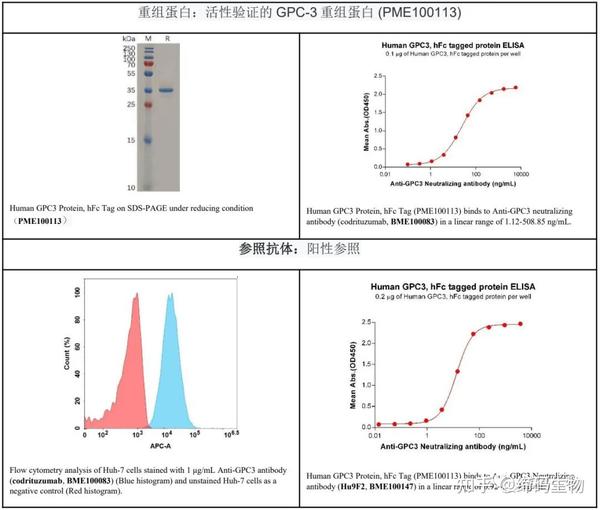 肝癌细胞治疗领域的宠儿GPC3 - 知乎
