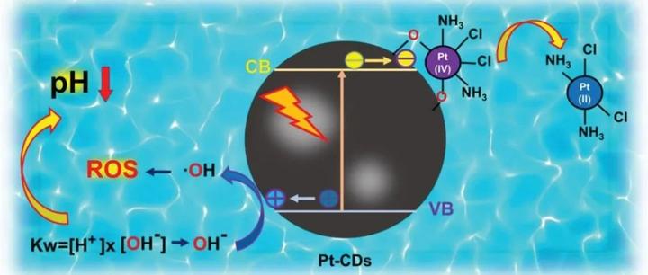 Adv. Sci.: 光催化Pt(IV)配位碳点用于精准肿瘤治疗 - 知乎