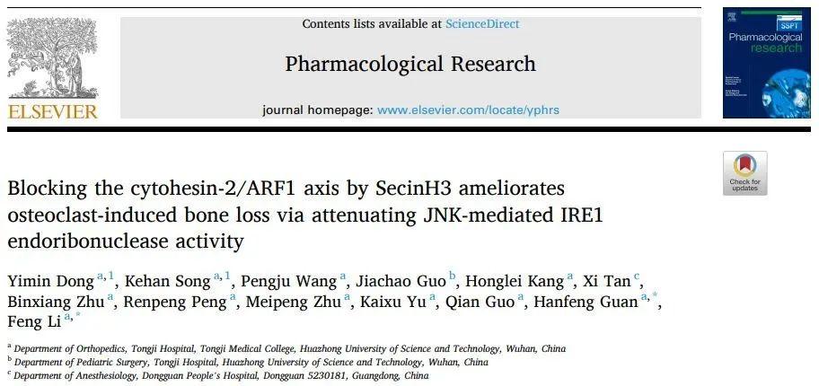 Pharmacol Res︱李锋/关邯峰课题组揭示Cytohesin-2/ARF1调控破骨细胞分化和影响骨质疏松发生发展的机制 - 知乎