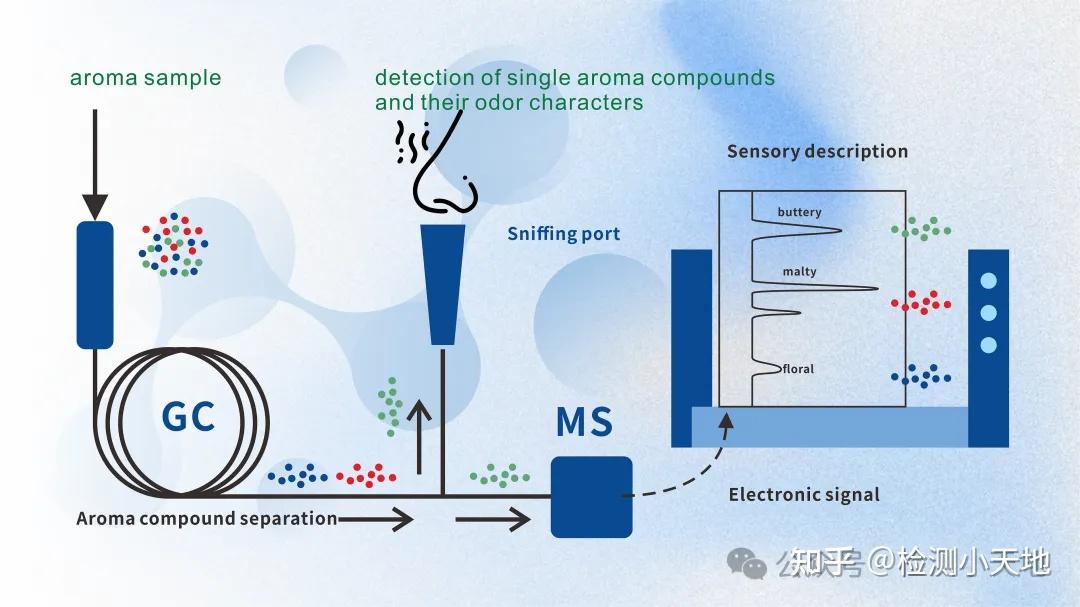 一文读懂丨 气相色谱-嗅觉-质谱（GC-O-MS） - 知乎