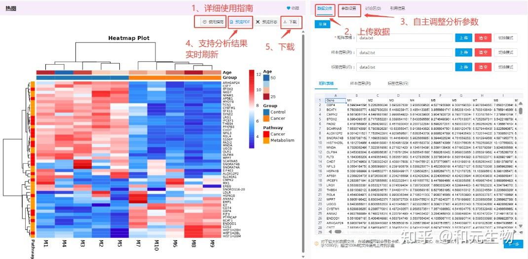 “薅羊毛”来啦 | 轻松掌握Heatmap图绘制要点 - 知乎