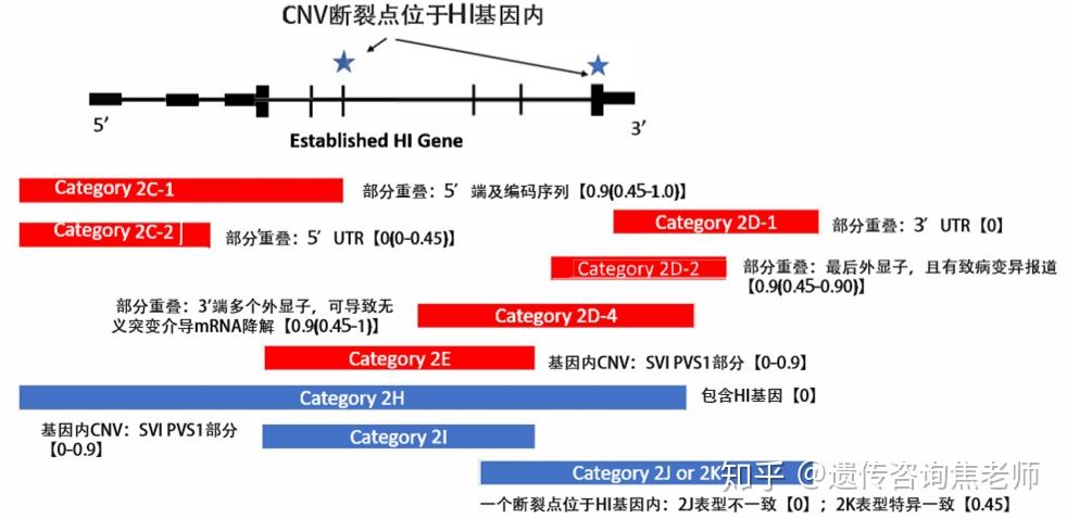 CNV之黄灯预警变异——可能致病性变异 (LP)/ 意义未明变异（VUS） - 知乎