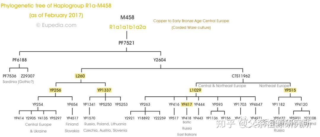 父系单倍群R1a - 知乎