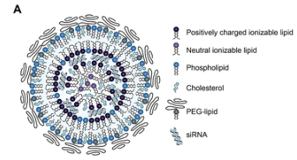Accounts Chem. Res. | Lipid Nanoparticle Technology for Clinical ...