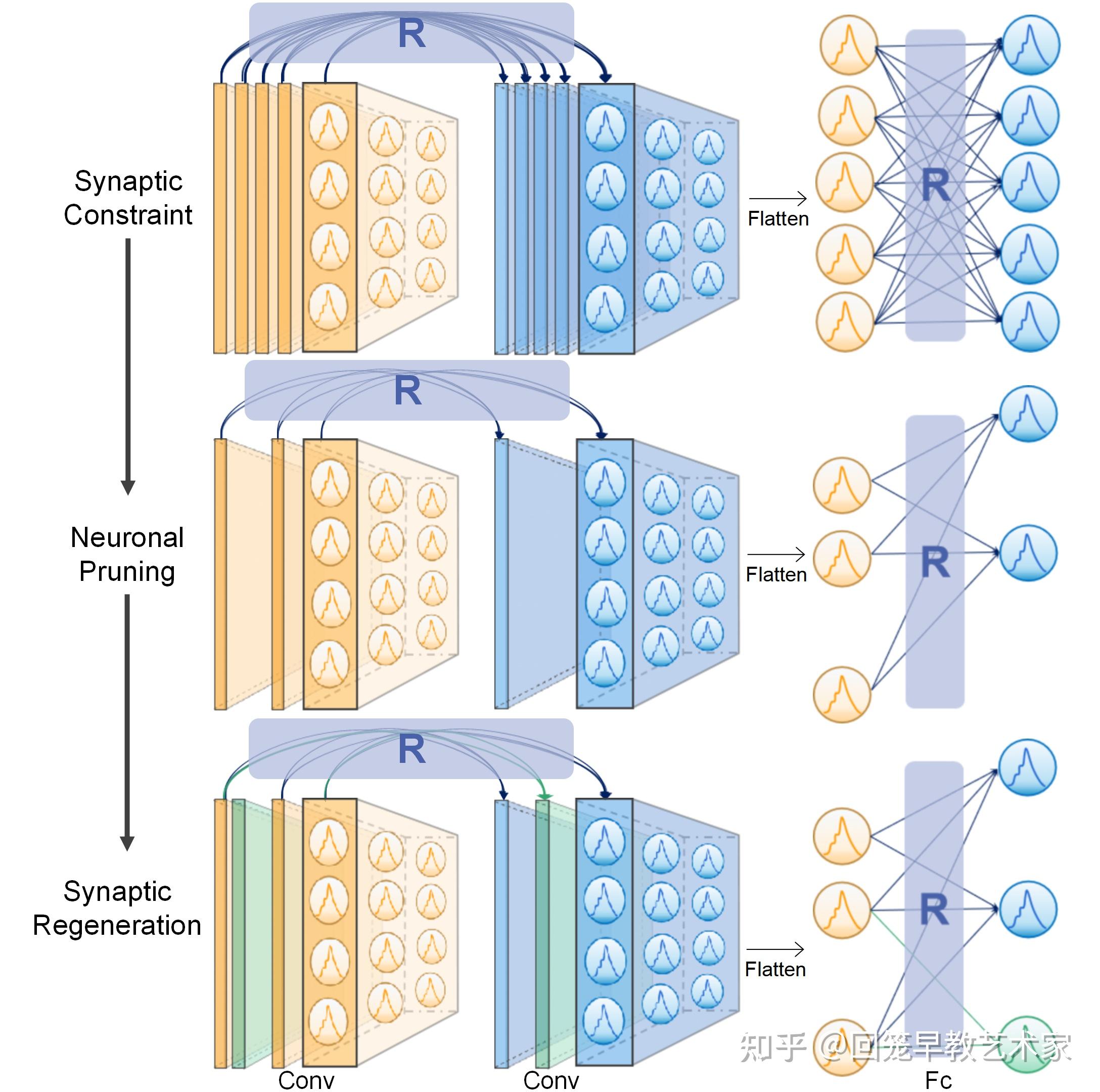 SNN系列文章14——SNN自适应稀疏结构学习与突触的修剪与再生 - 知乎