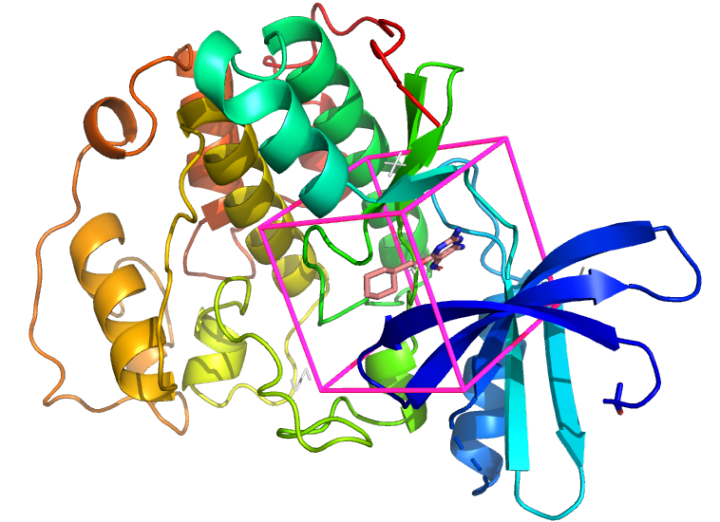 PyMOL教程 | 使用AutoDock\Vina进行分子对接 - 知乎