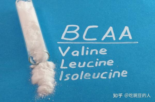 支链氨基酸（BACCs）在运动营养补剂中的重要作用 - 知乎