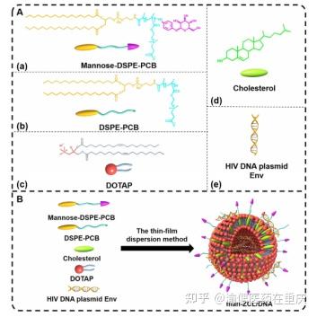 yusi阳离子脂质体DOTAP的应用优势，CAS：132172-61-3 - 知乎