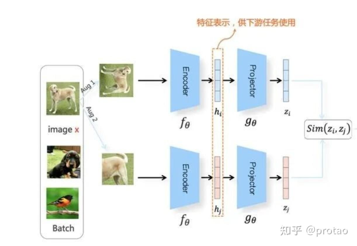 互信息在对比学习中的应用 - 知乎