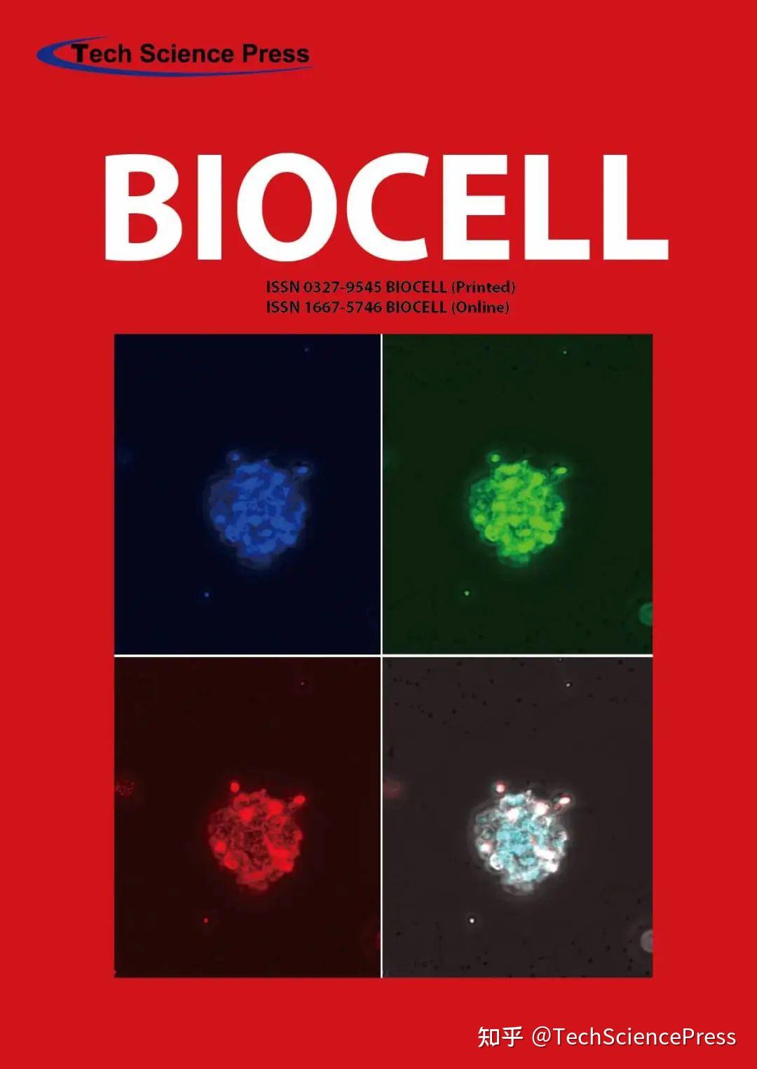 BIOCELL综述丨激素介导的 PI3K/AKT 信号对细胞精子发生的影响 - 知乎