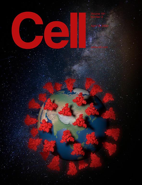 科学与艺术的结合！《CELL》100+张期刊封面鉴赏｜2020年篇 - 知乎