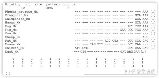 进化大牛杨子恒解读PAML软件分析教程 - 知乎