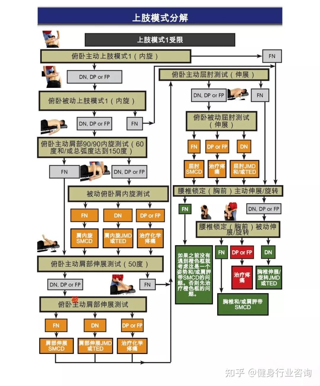 康复治疗师如何运用选择性功能动作评估SFMA（流程图）-康复治疗师和体能训练师必备技能 - 知乎