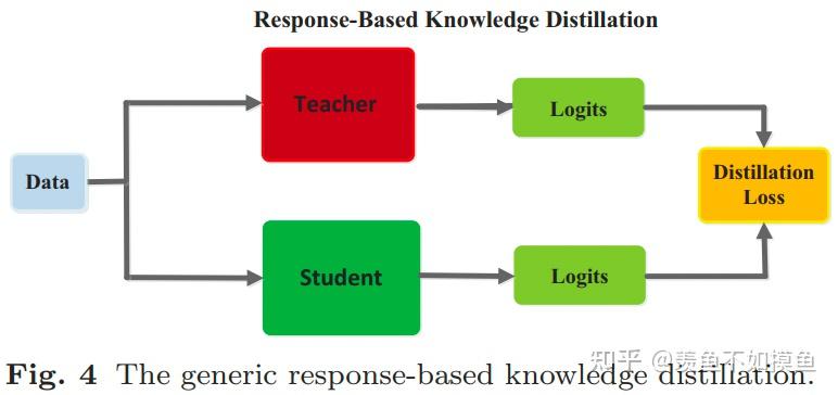 【知识蒸馏综述】从入门到实践：入门篇 - 知乎
