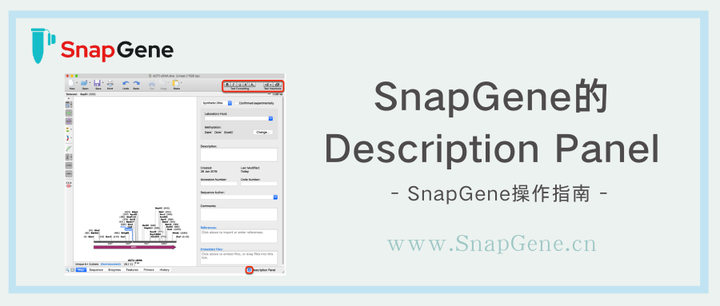 SnapGene操作指南 | SnapGene 的 Description Panel（一） - 知乎