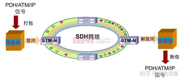 SDH蝠厚（速） - 知乎