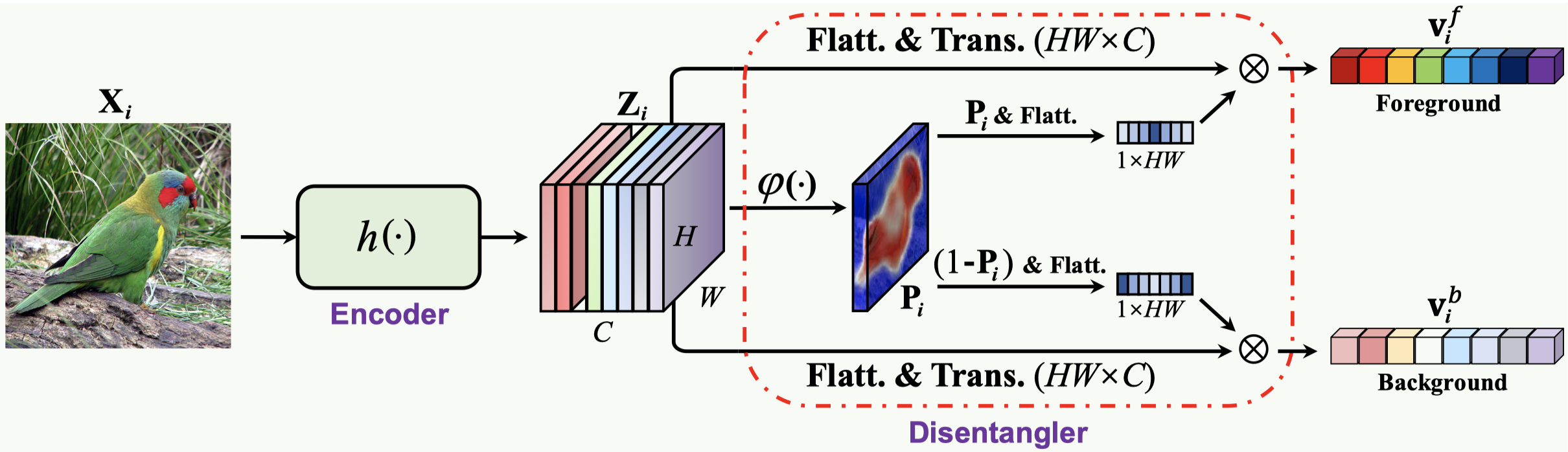 CVPR '22｜CCAM：对比学习区分前景与背景 - 知乎
