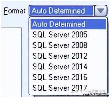 DataNumen SQL Recovery：恢复 SQL Server 数据库的首选软件 - 知乎