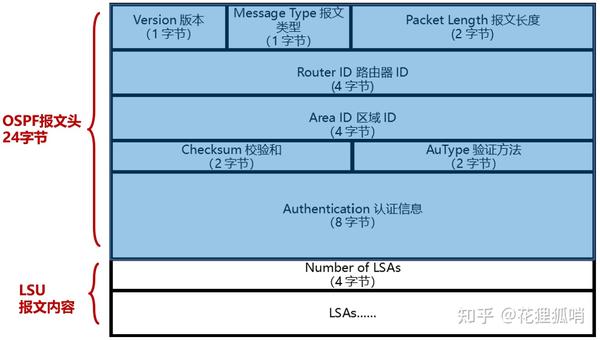 OSPF报文格式 - 知乎