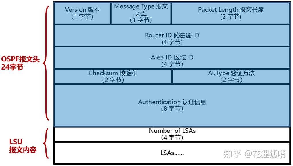OSPF报文格式 - 知乎