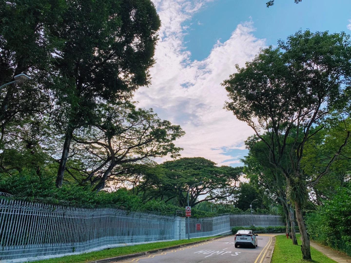 Mount Emily Park 艾米丽山公园 - 知乎