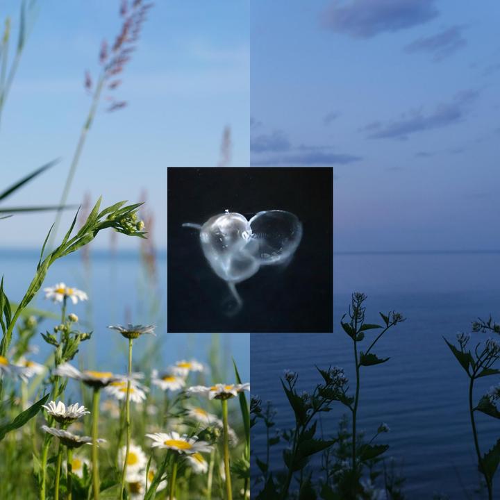 [专辑测评25/雷达图] Alexander Panos - Nascent - 知乎