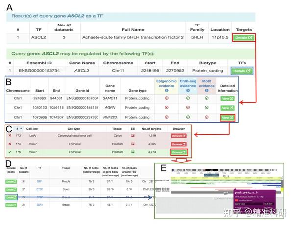 hTFtarget:一个全面的人类转录因子调控及其靶点数据库 - 知乎