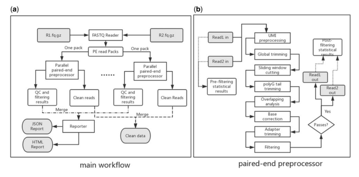 一个转录组上游分析流程 | Hisat2-Stringtie - 知乎