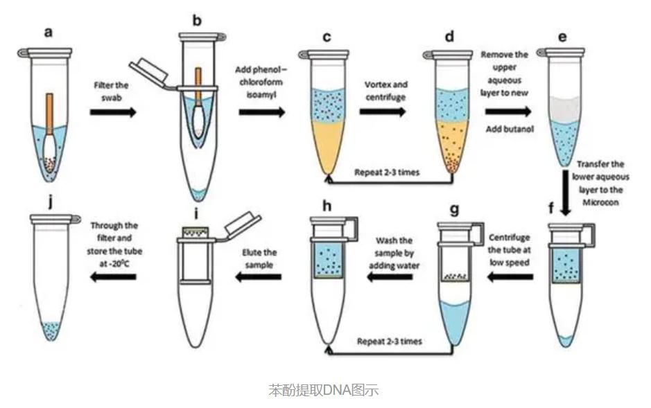 科普讲堂 | 一分钟了解gDNA，抓紧来看~ - 知乎
