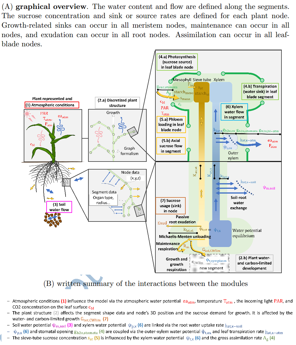 CPlantBox：土壤-植物-大气-连续体中水和碳通量的全耦合模拟平台 - 知乎