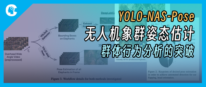 基于YOLO-NAS-Pose的无人机象群姿态估计：群体行为分析的突破 - 知乎