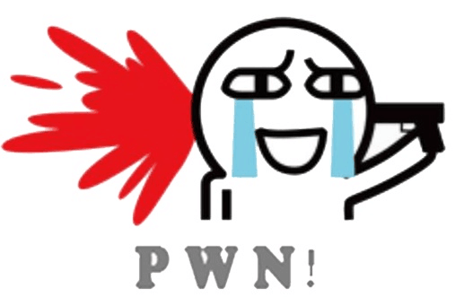 bugku pwn4 canary - 知乎