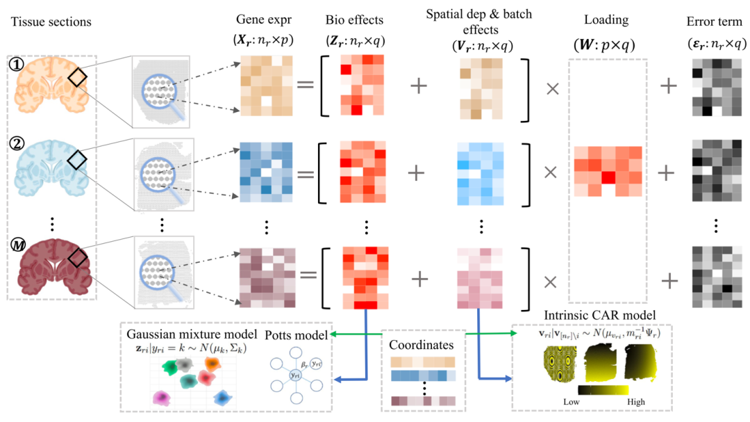 Nat Commun︱刘瑾团队发布整合空间转录组数据方法 - 知乎