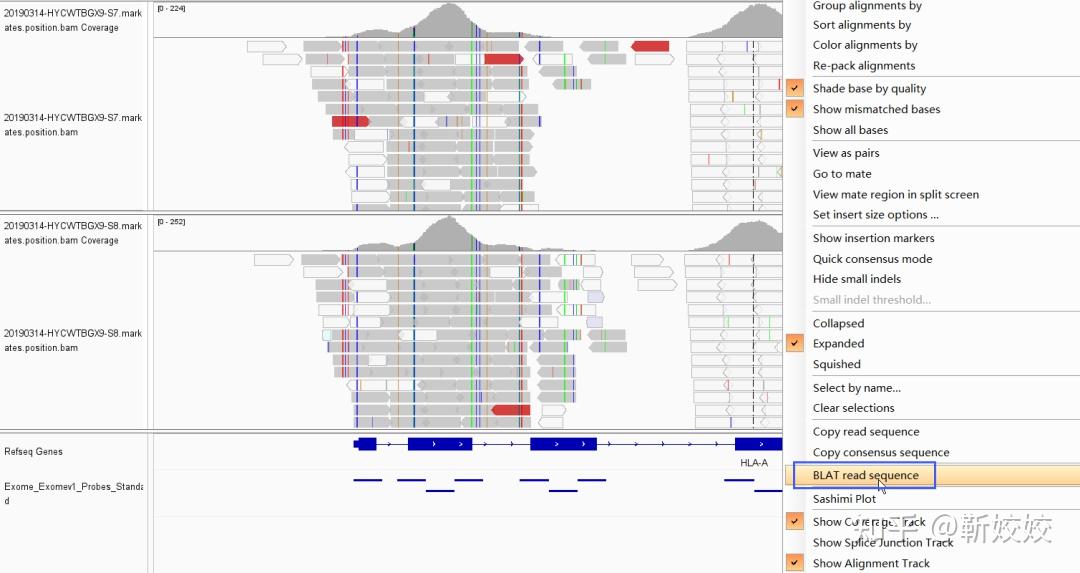 IGV快速上手指南（二）——查看靶向捕获测序数据及探针文件 - 知乎