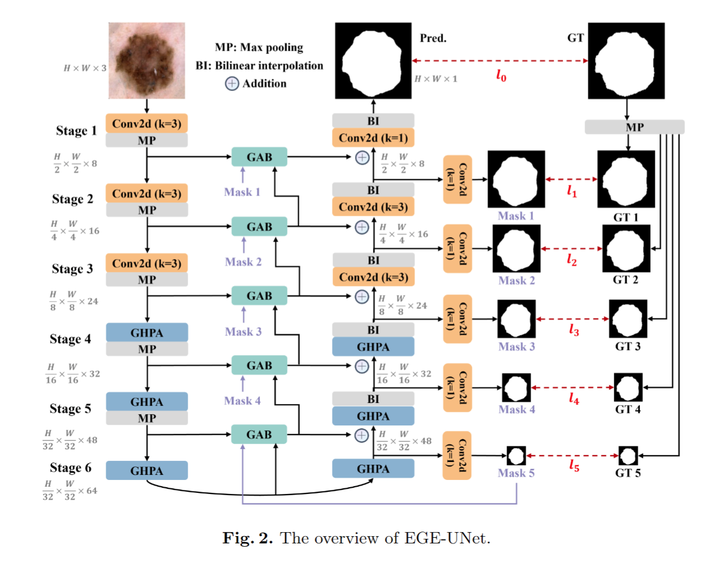 轻量型语义分割网络EGE-UNet论文和代码解读 - 知乎