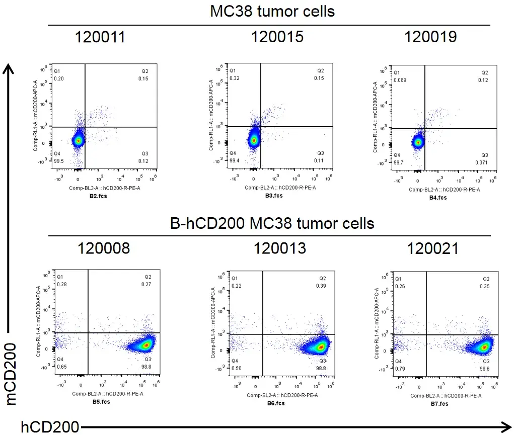 CD200/CD200R | 天然免疫调节剂，免疫治疗潜力股！ - 知乎