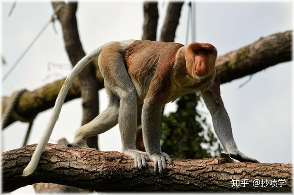 千古成语今日析--三百六十行 - 知乎