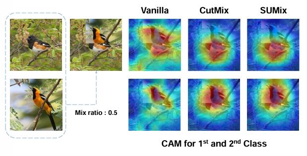 ECCV 2024 数据增强新方法！SUMix：语义和不确定信息的混合 - 知乎