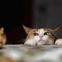 cisco 无线AP FAT（胖）版本命令配置指导 - 知乎