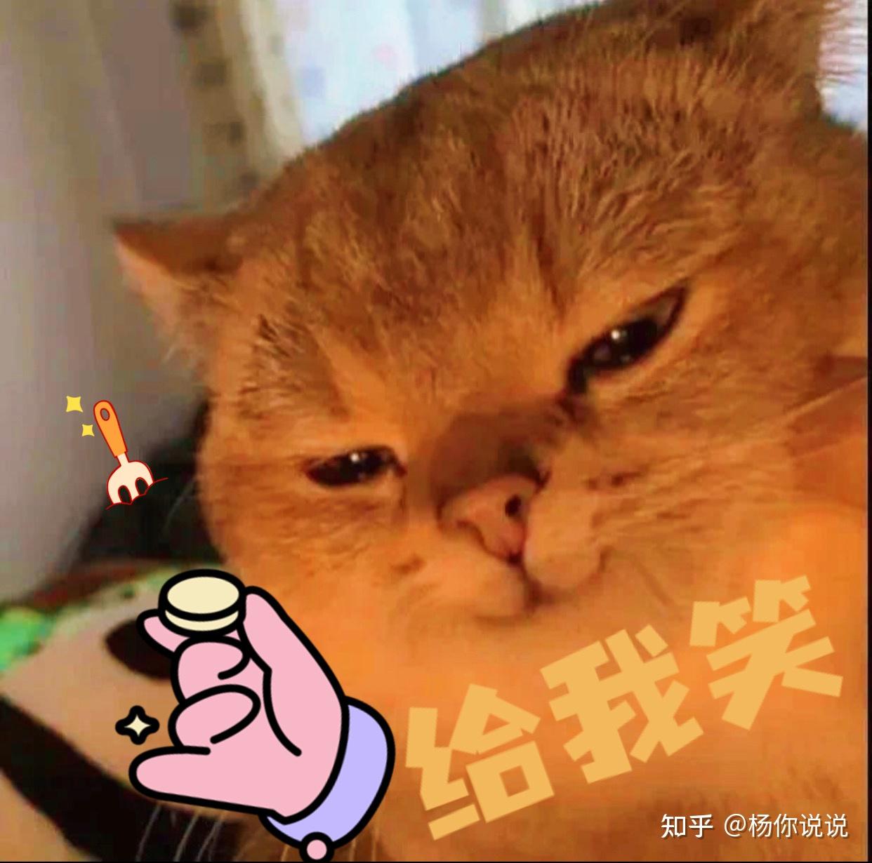 脱口秀教母惨遭网红淘汰，脱口秀大会第五季将如何取悦观众？ 知乎 