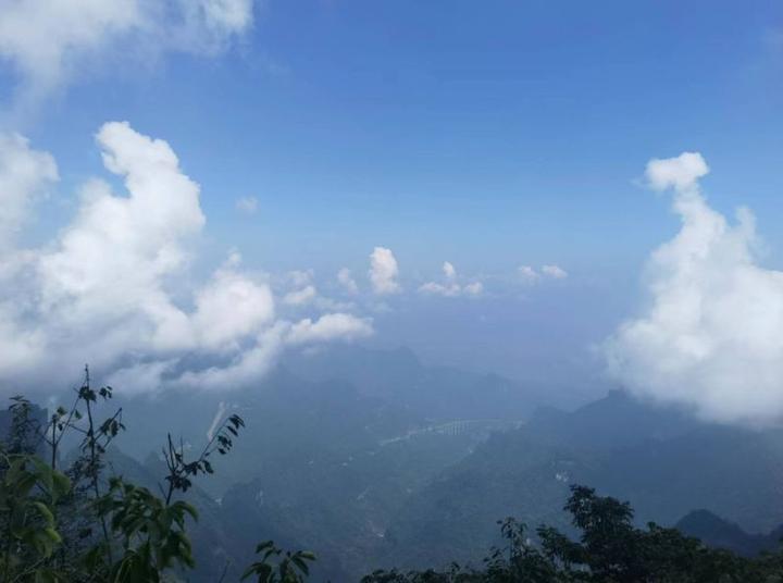 犀牛午讯：张勇兼任阿里云总裁 深交所向美好置业发关注函 - 知乎