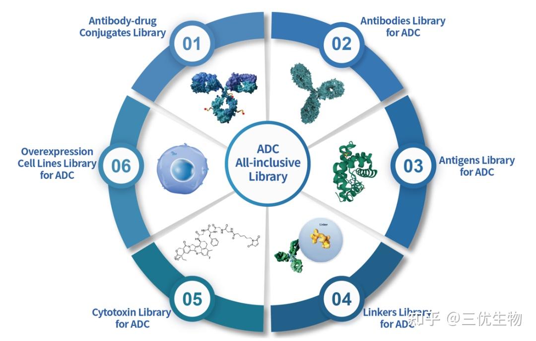 三优药讯｜ASCO23重大ADC临床结果解读（国产篇） - 知乎