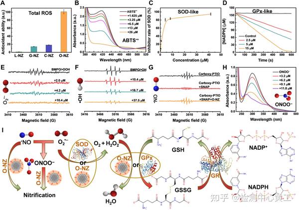 一文读懂人工酶催化中的表征分析 - 知乎