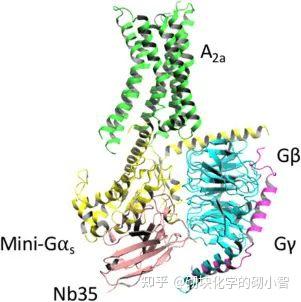 综述｜GPCR药物发现全程攻略 - 知乎