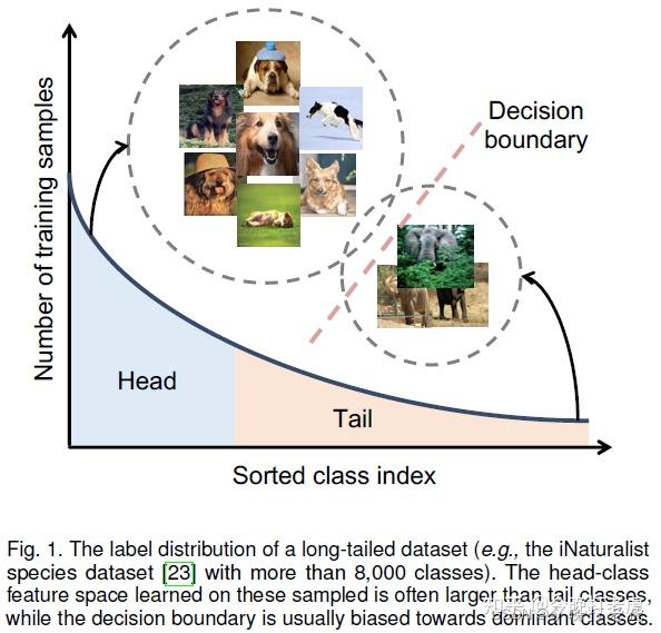 深度长尾学习综述 - Deep Long-Tailed Learning: A Survey - 知乎