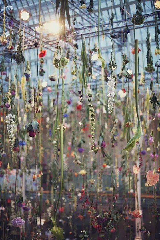 花艺装置艺术家Rebecca Louise Law | 爱马仕的私密晚宴秀翻全场 - 知乎
