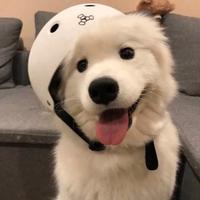 时序预测论文精读（2）：Scaleformer - 知乎