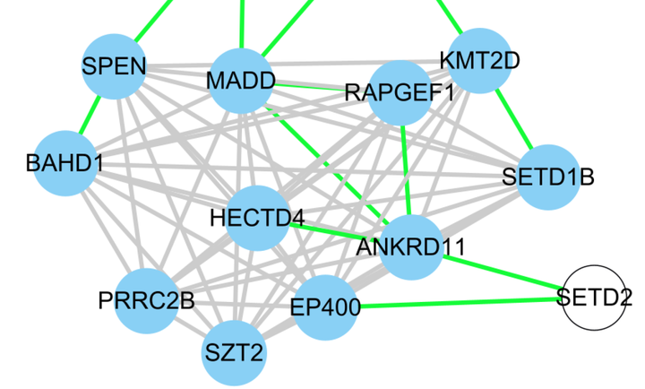 Cytoscape的edge边的重叠/顺序/图层问题 - 知乎