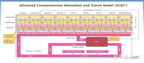 从临床前走到临床的DMPK系列之------human PK prediction - 知乎